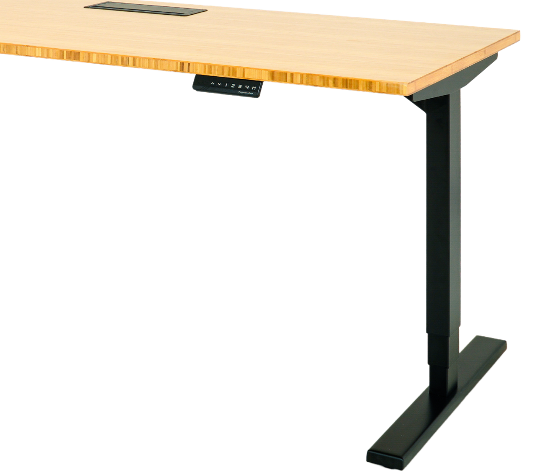 Bamboo Standing Desk - Progressive Desk - Buy Bamboo Stand-Up Desk ...