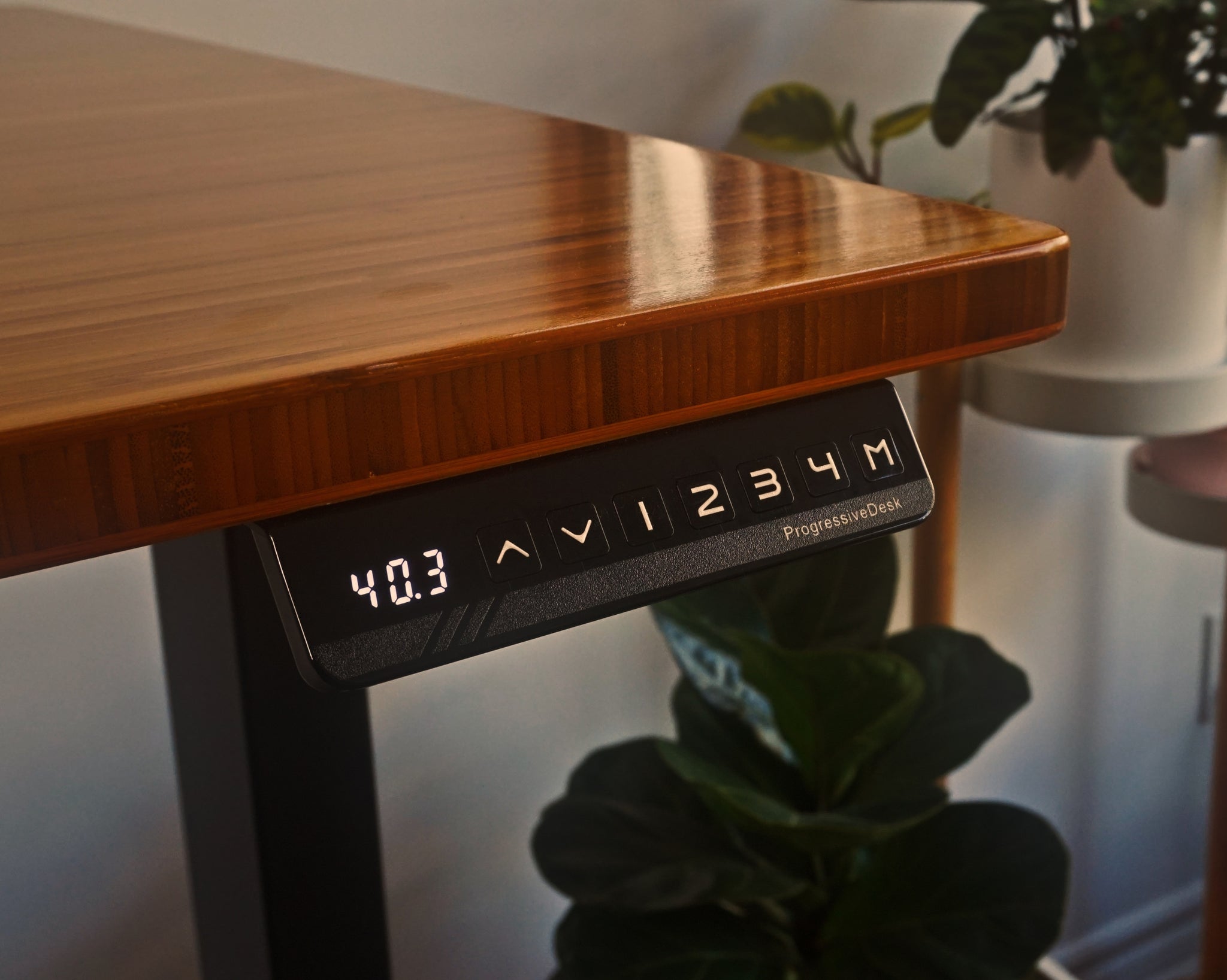 Standing Desk Hand Remote - 4 Position Memory Function - USB Charging ...